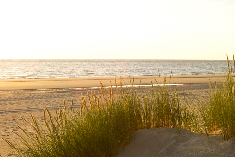 Radurlaub Niederlande • Sand Und Meer • Buchen Sie Mit Dutch-Biketours
